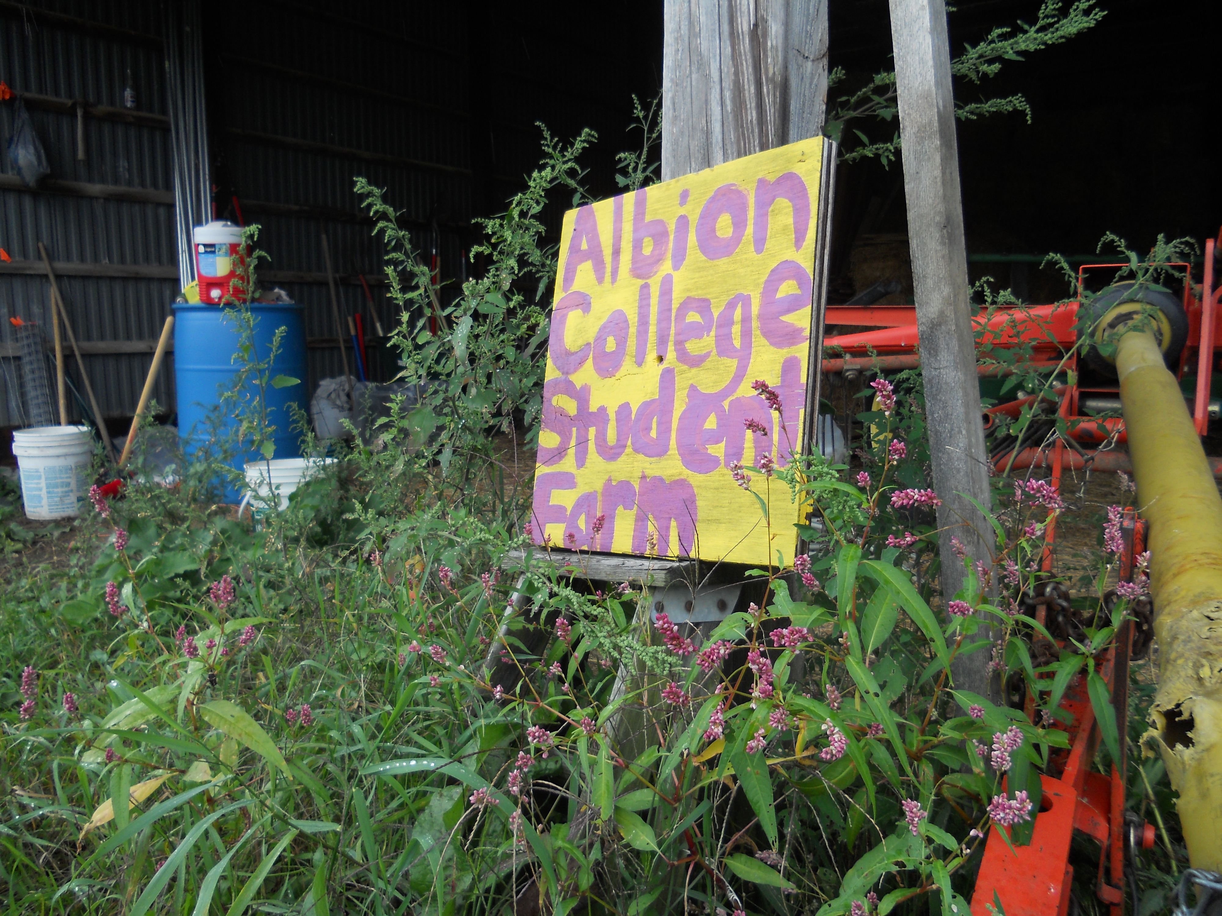 Sustainable, Fun, and Student Run — Student farm sells to Baldwin – The ...