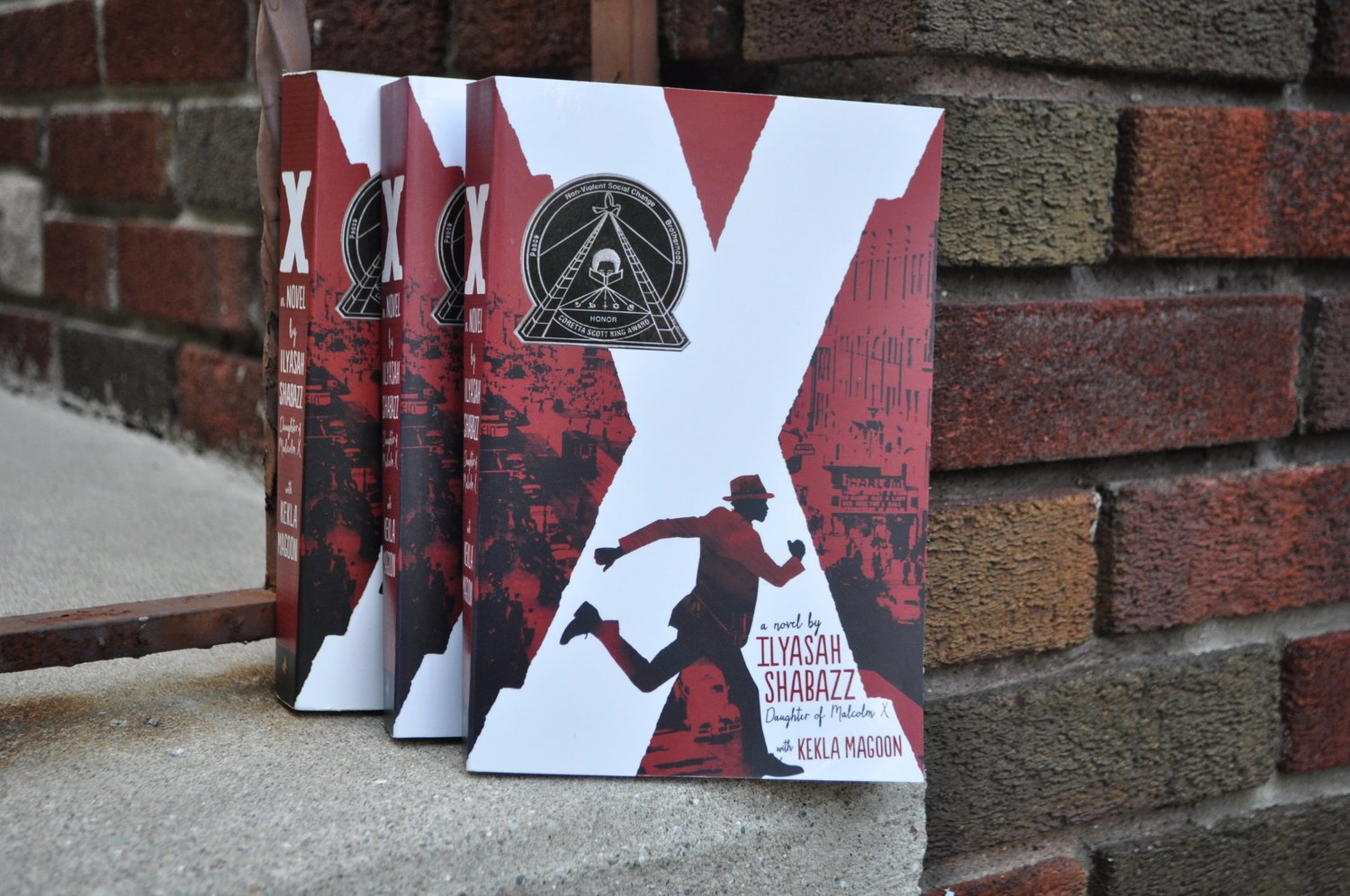 Albion Big Read Empowers Youth With Community Ties to Malcolm X – The ...