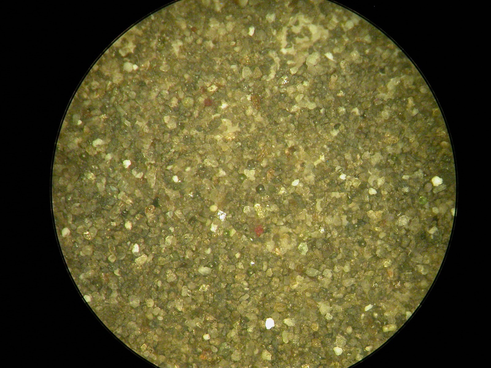 Professor Nicolle Zellner Continues Lunar Glass Research with Harvard ...