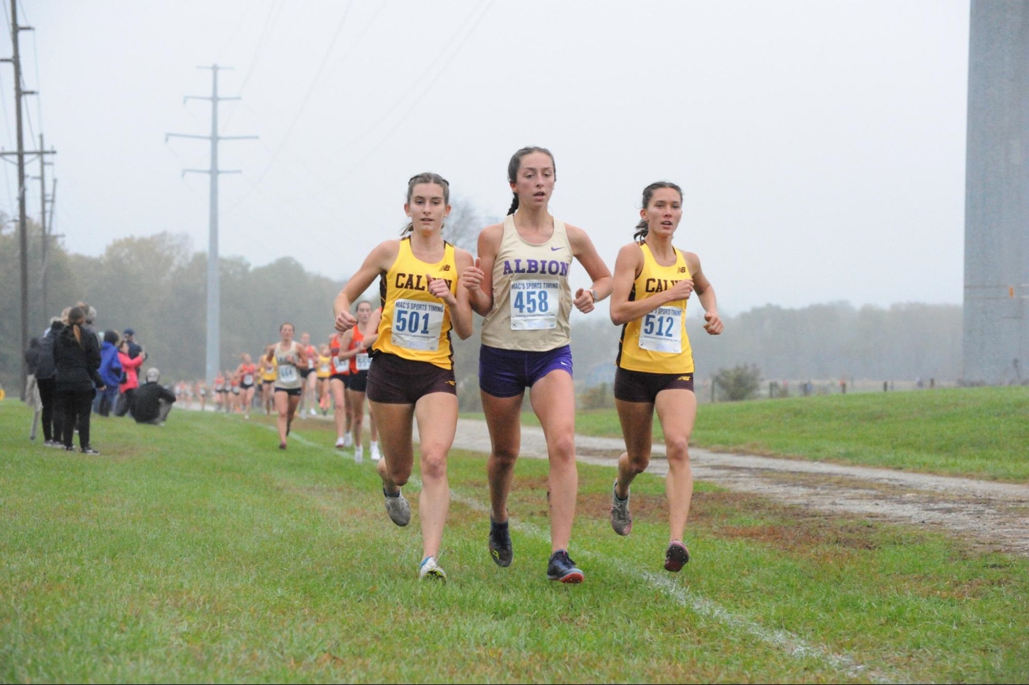 Women’s Cross Country Team to Take on Regionals – The Albion College ...