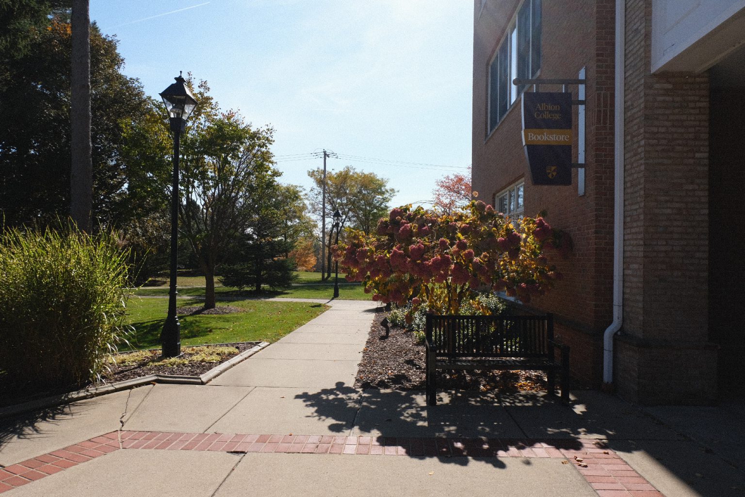 Photos: Fall Colors Cover Campus – The Albion College Pleiad Online