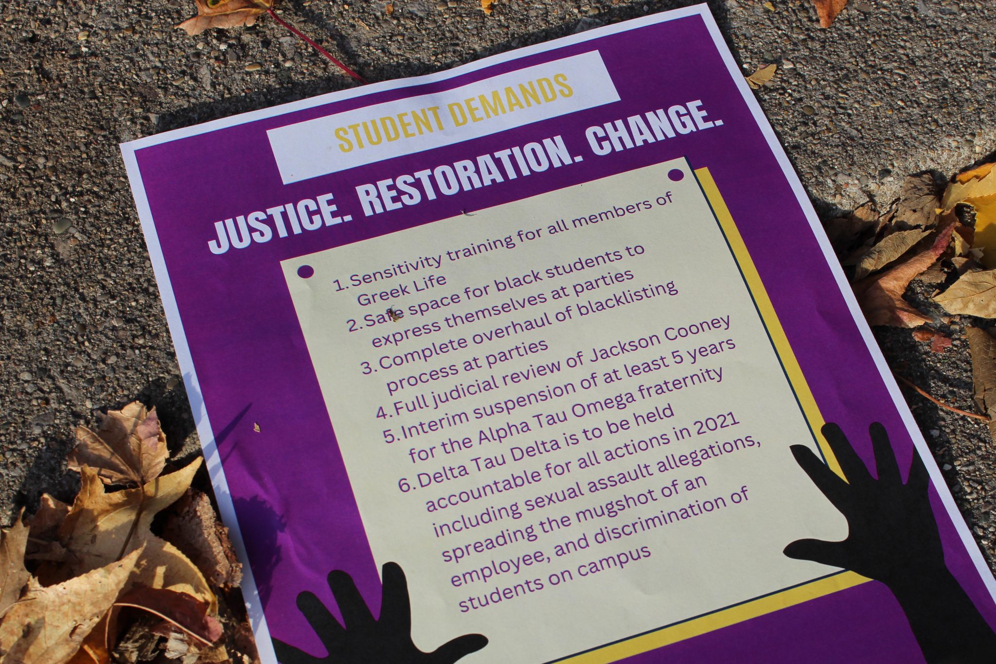 Protesters Accuse Frats of Racism, Seek Suspensions – The Albion ...