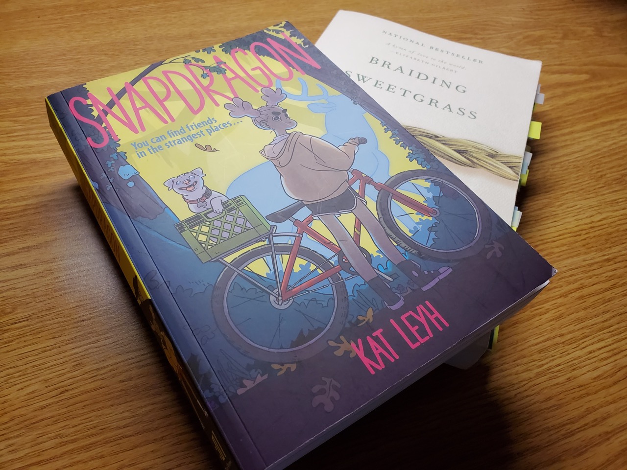 Opinion: Pleiad Staff Book Recommendations – The Albion College Pleiad ...