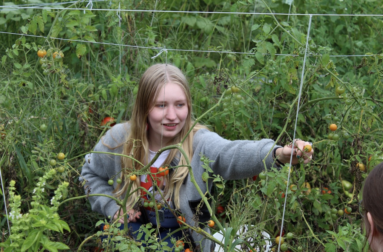 Photos: Student Farm Cultivates Success and Sustainability – The Albion ...