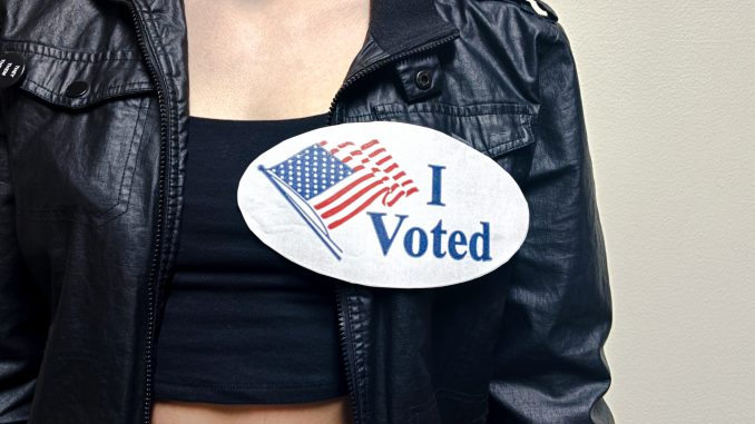Maximize Your Vote: A How-To Guide to Election Season – The Albion ...